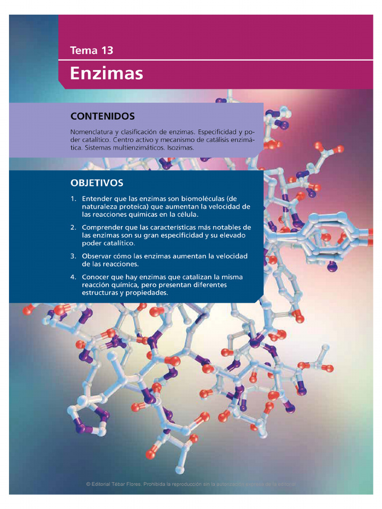 Enzimas - Fundamentos de Bioquimica Estructural - Blanco Gaitán | PDF | Bioquímica | Química