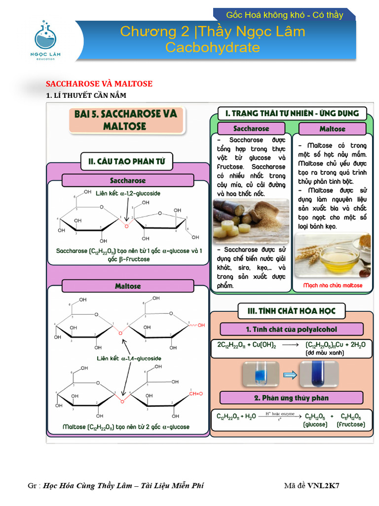 Saccharose - Maltose | PDF
