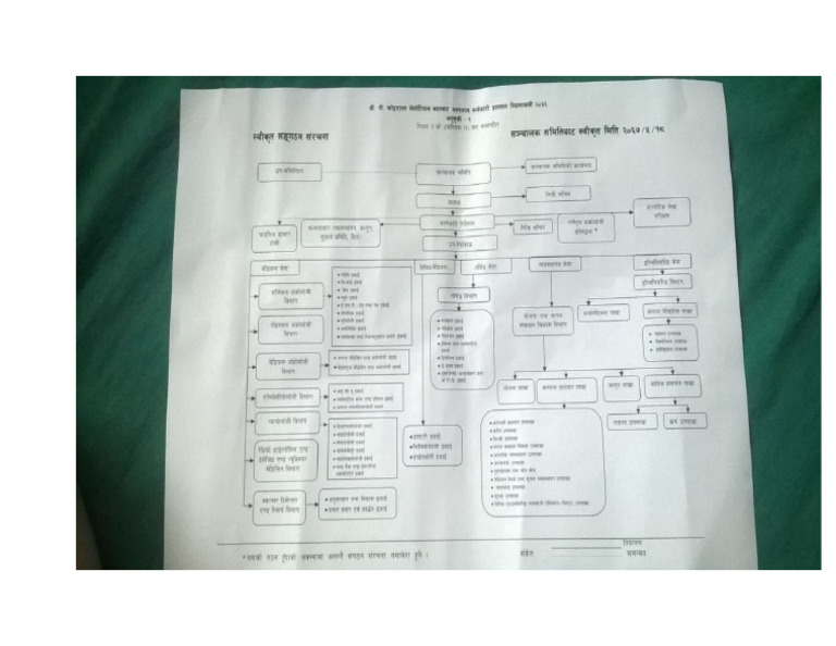 Organogram of BPKMCH | PDF