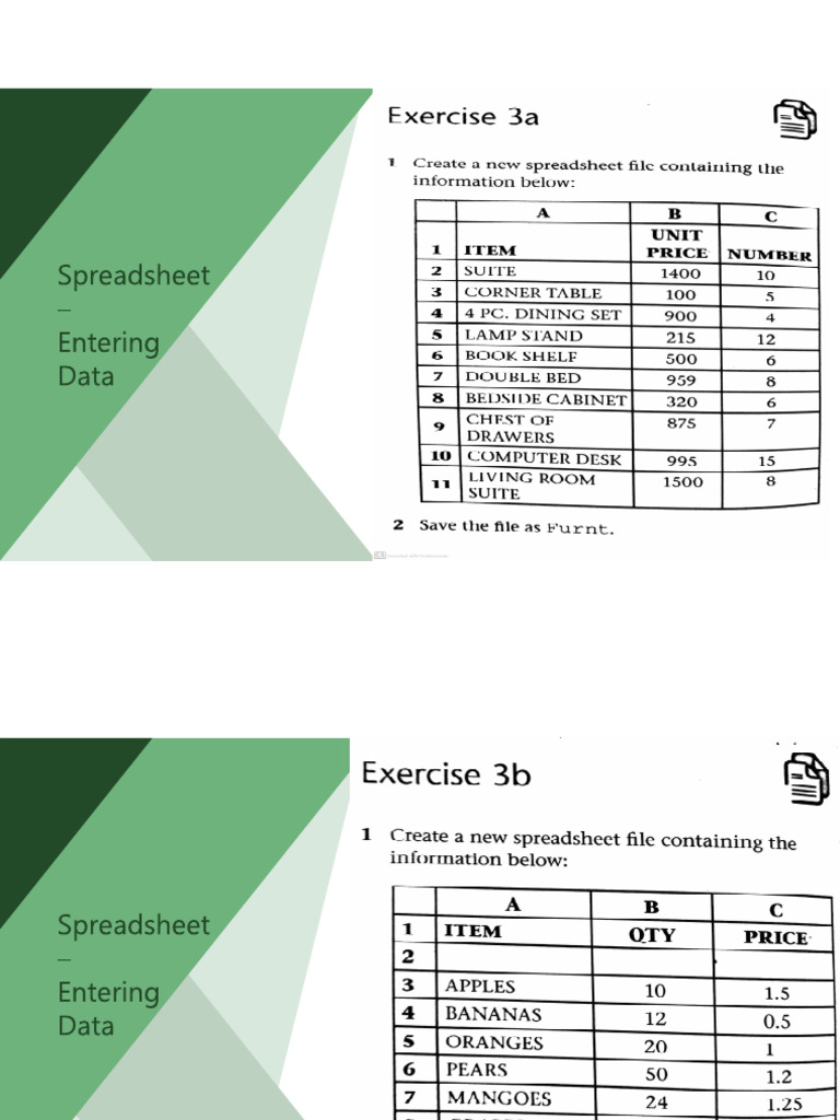 Spreadsheet - CSEC Entering Data | PDF