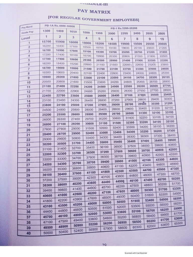 Pay Matrix 2017 | PDF