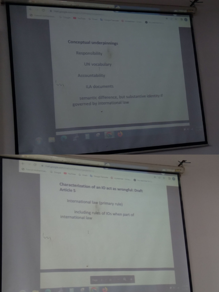 LIO - Responsibility of IOs | PDF