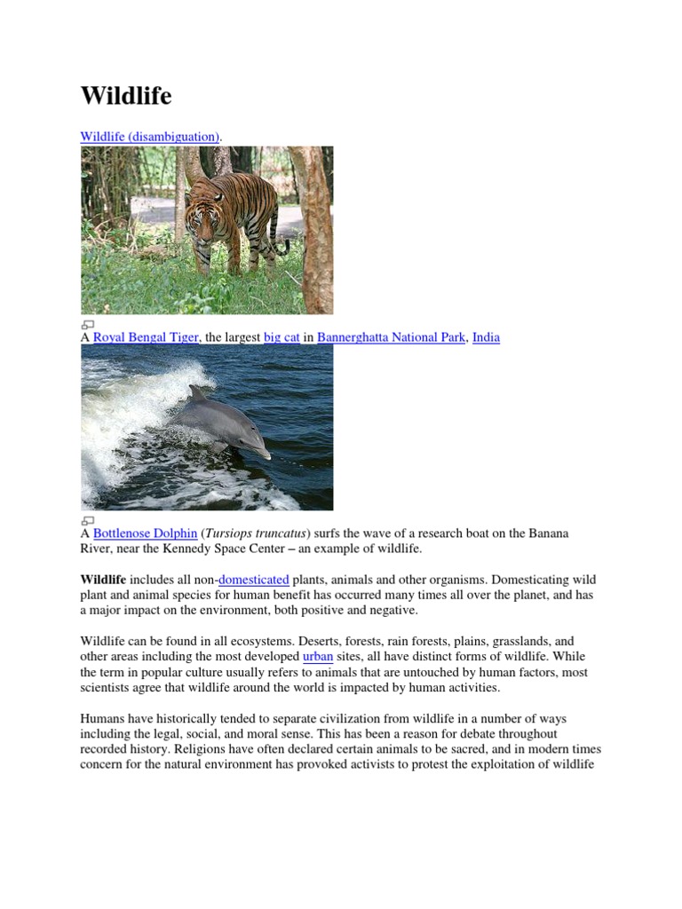 Wildlife 1 | PDF | Wildlife | Natural Environment