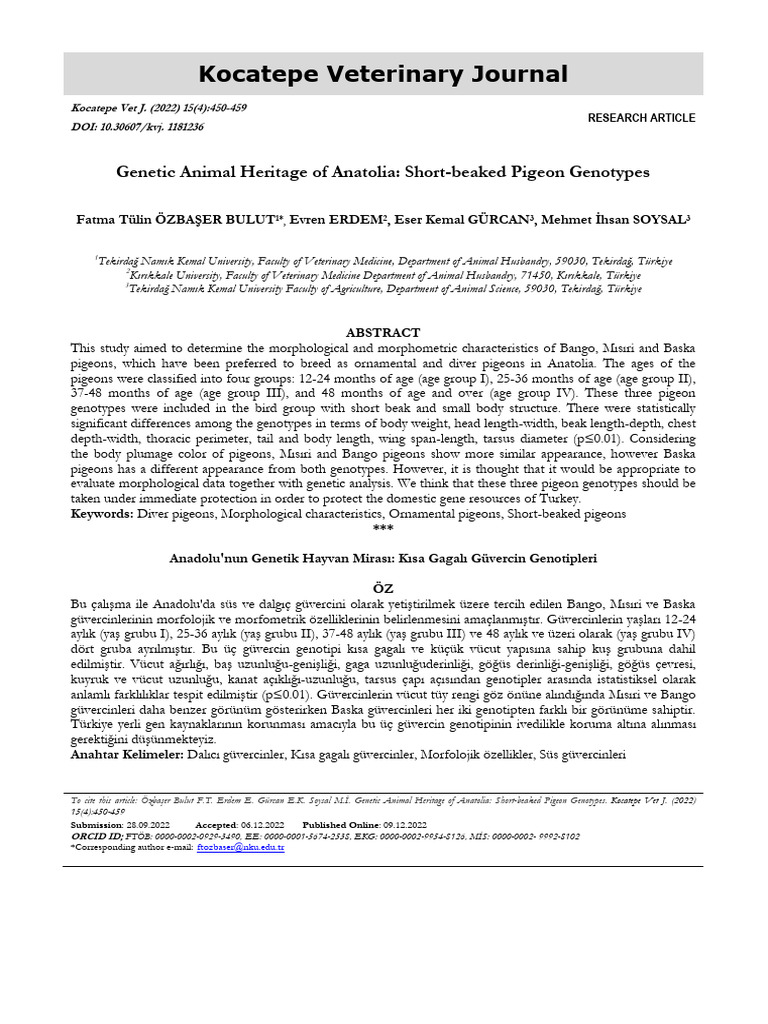 Short Beak Pigeons Genotype | PDF | Columbidae | Birds