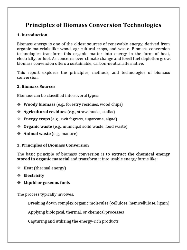 Principles of Biomass Conversion Technologies | PDF | Biofuel | Sustainable Technologies