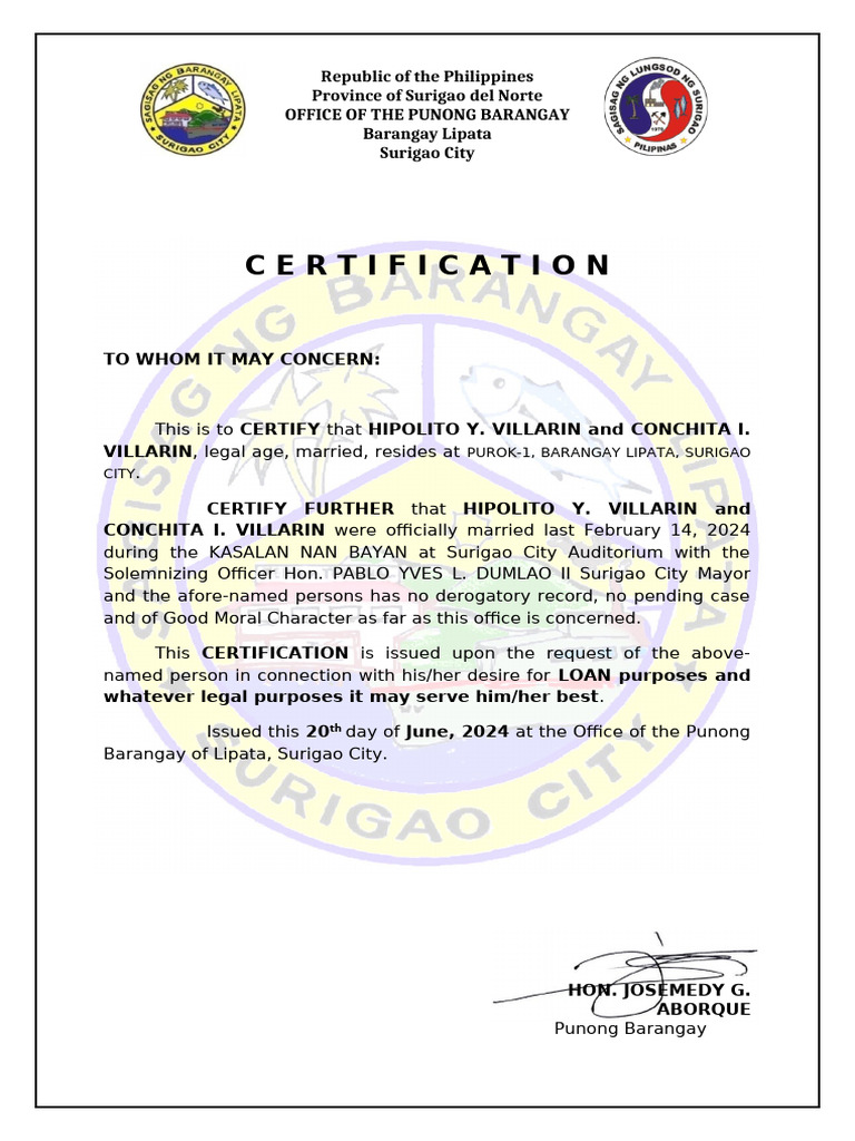 Certifications from Barangay Lipata | PDF
