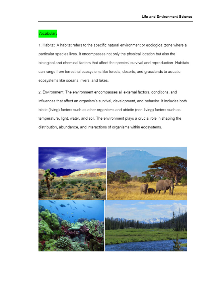Types of Ecosystems and Their Roles | PDF | Ecosystem | Natural Environment