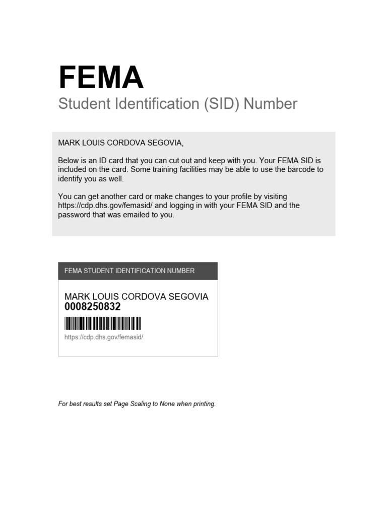 Fema Sid | PDF