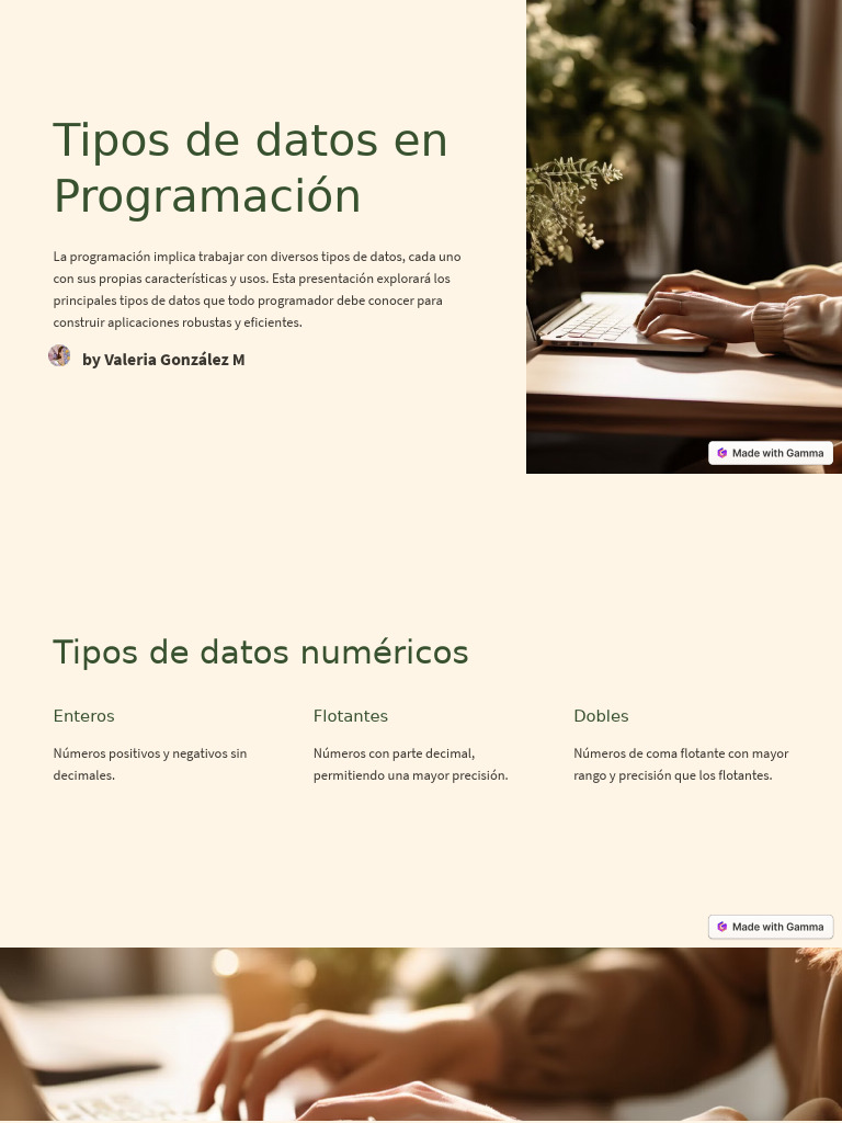 Tipos de Datos en Programacion | PDF | Tipo de datos | Ciencias de la Computación