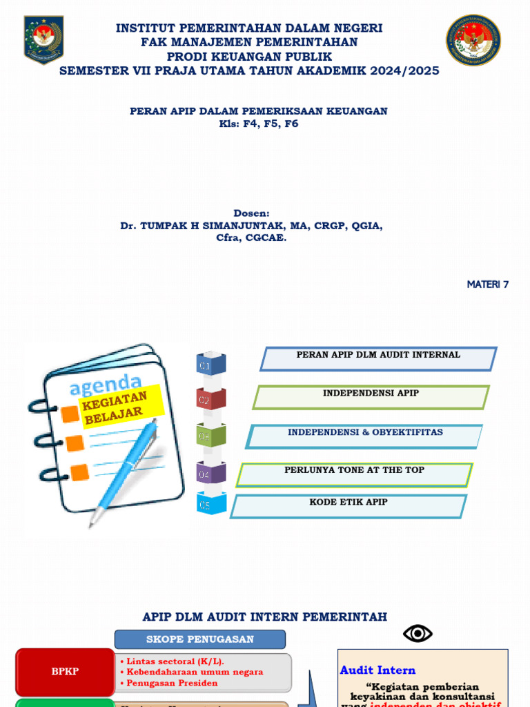 Peran APIP dalam Audit Internal Keuangan | PDF