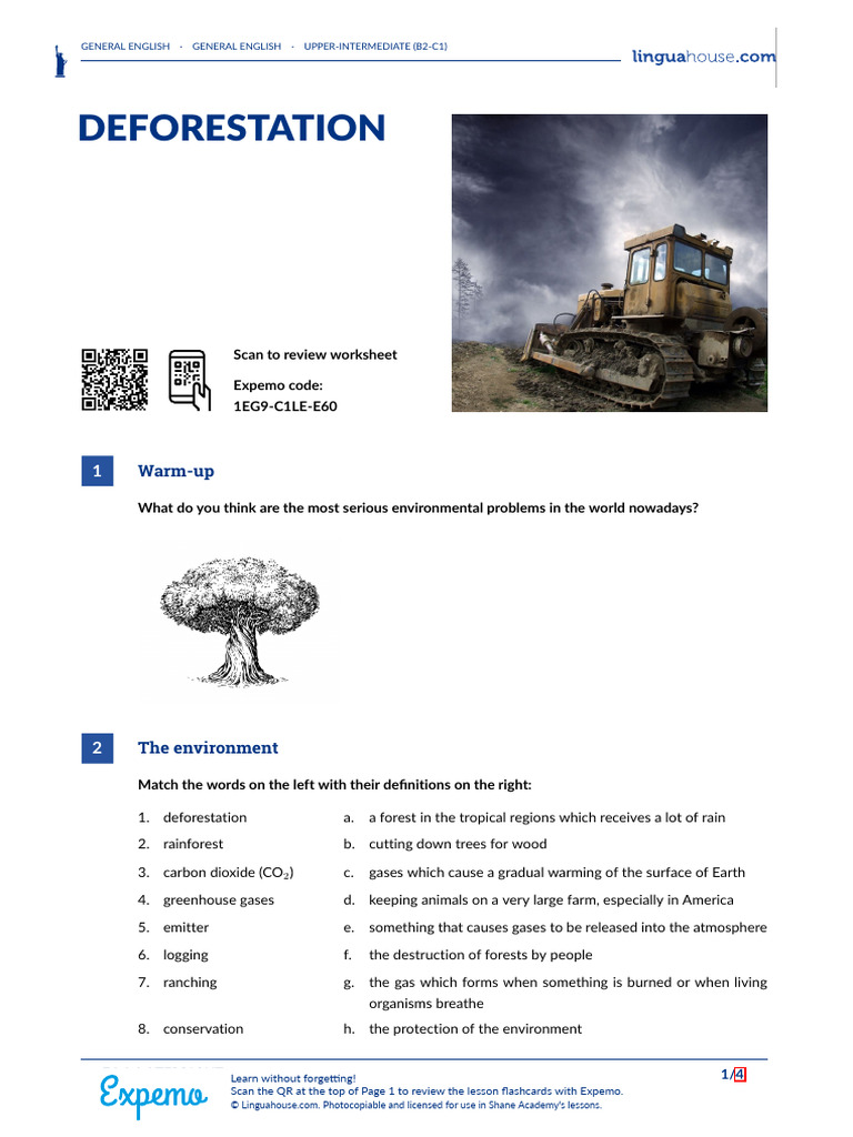Deforestation American English Teacher B2 C1 | PDF | Deforestation ...