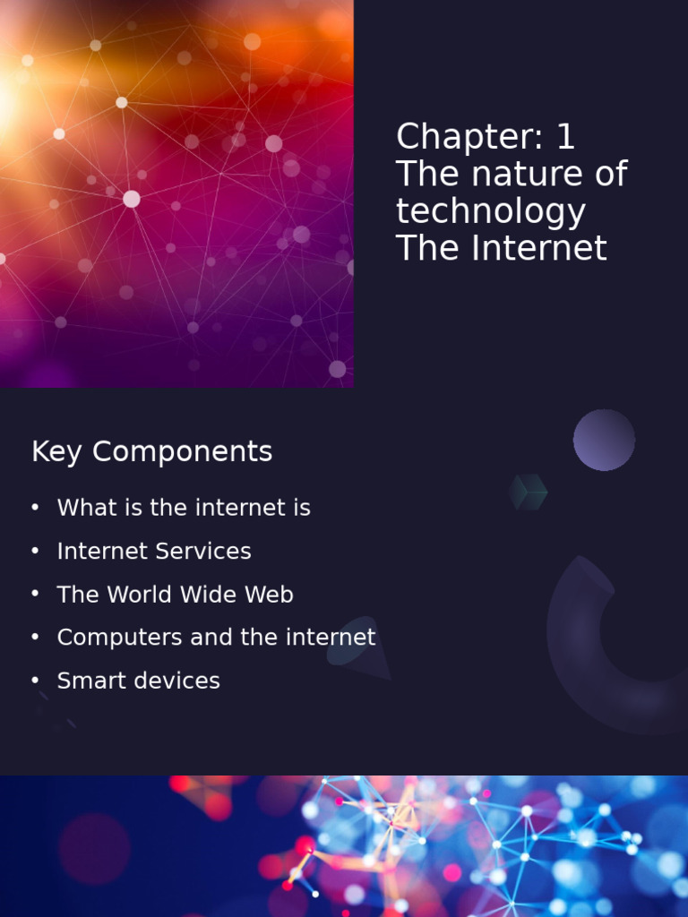 Grade 5 Chapter 1 Computer Networks - The Internet | PDF
