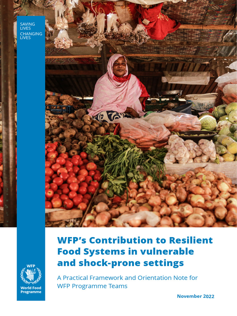 Resilient Food Systems Framework - LV - NOV2022 | PDF | Food Security ...