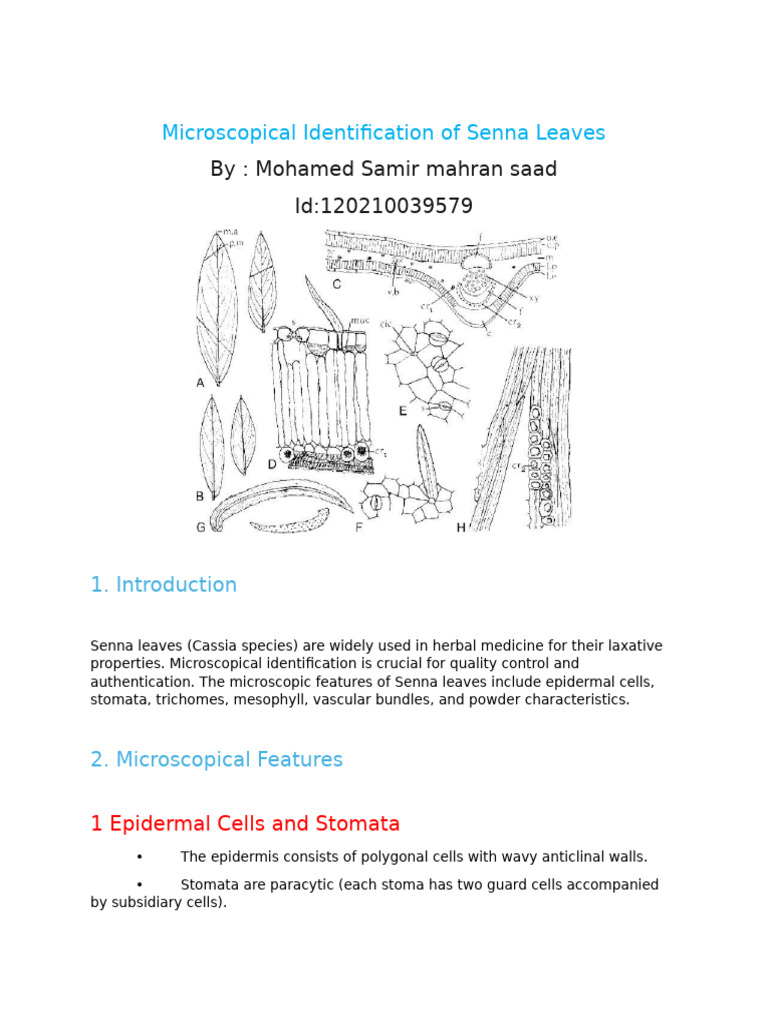 Microscopical Identification of Senna Leaves | PDF | Leaf | Tissue ...