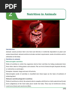 Class 7 Science Chapter 2 (Nutrition in Animals) | PDF | Digestion | Foods