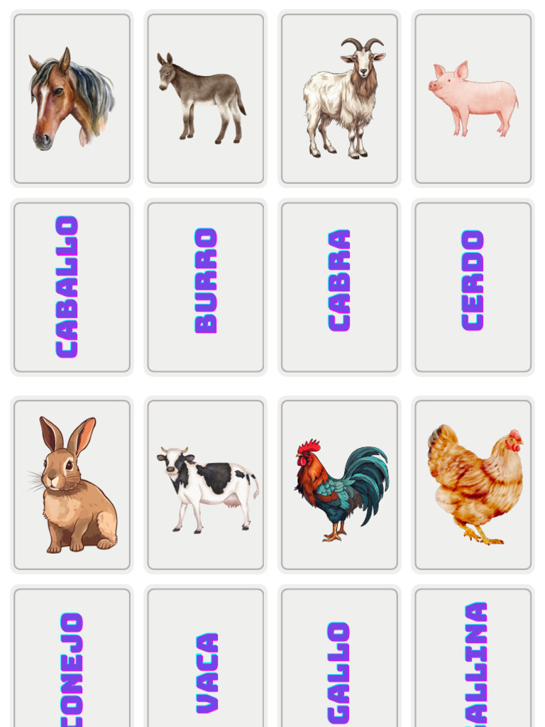 Flashcards Animales 2 | PDF