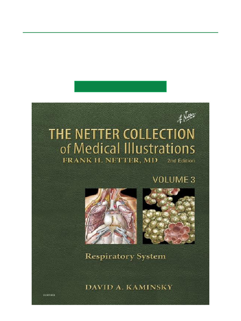 Netter's Respiratory System 2nd Edition Educational Ebook Download | PDF