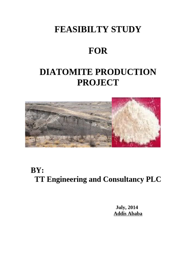 001-Final La Palma Project Feasibility Study-2272014 | PDF | Net Present Value | Filtration