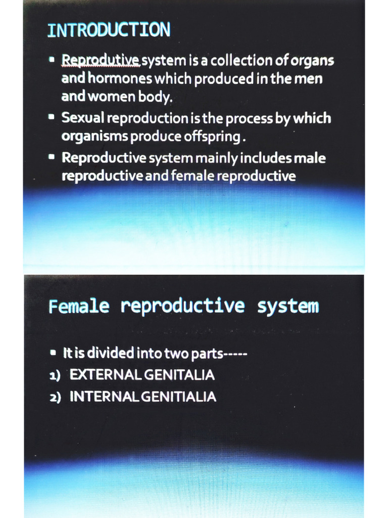 Physiology of Female Reproductive | PDF