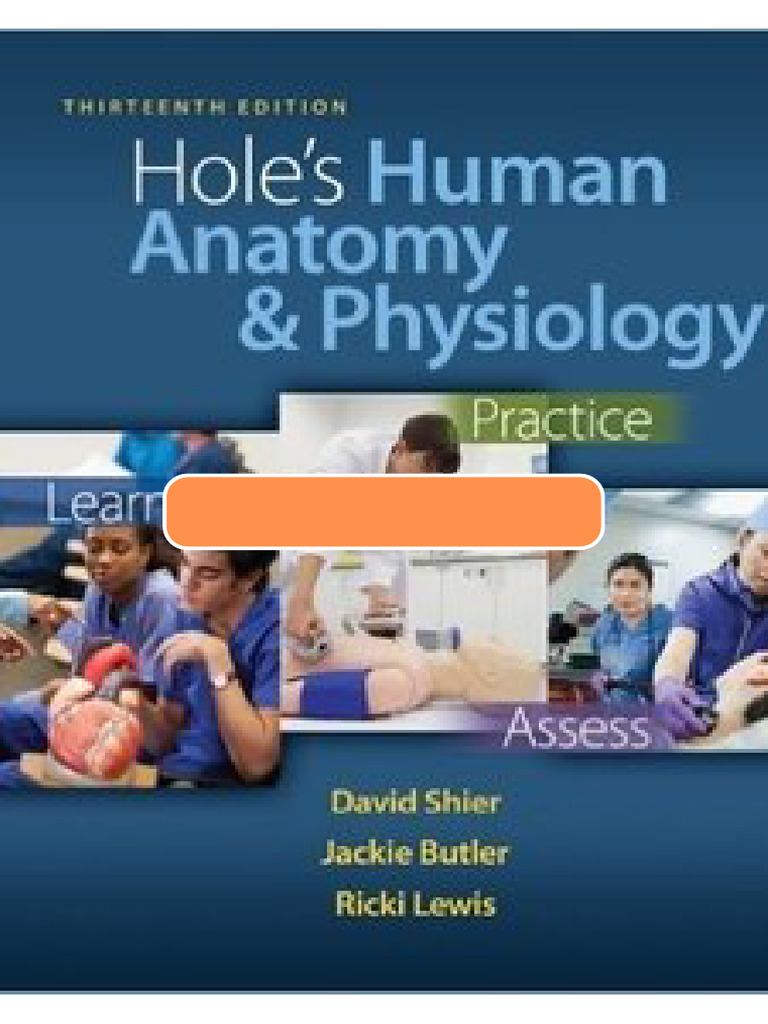 Testbank For Holes Human Anatomy Physiology 13th Edition | PDF ...