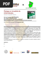 Le Plan Comptable Syscohada Revise | PDF