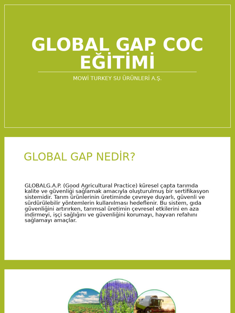 Global Gap Eği̇ti̇mi̇ Slayt | PDF
