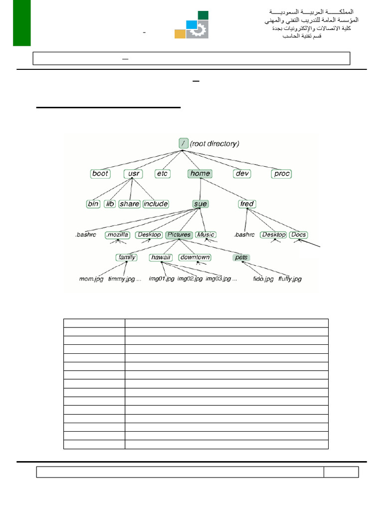 OS2 - Week 3 - Week4 | PDF | Computer File | Cpu Cache
