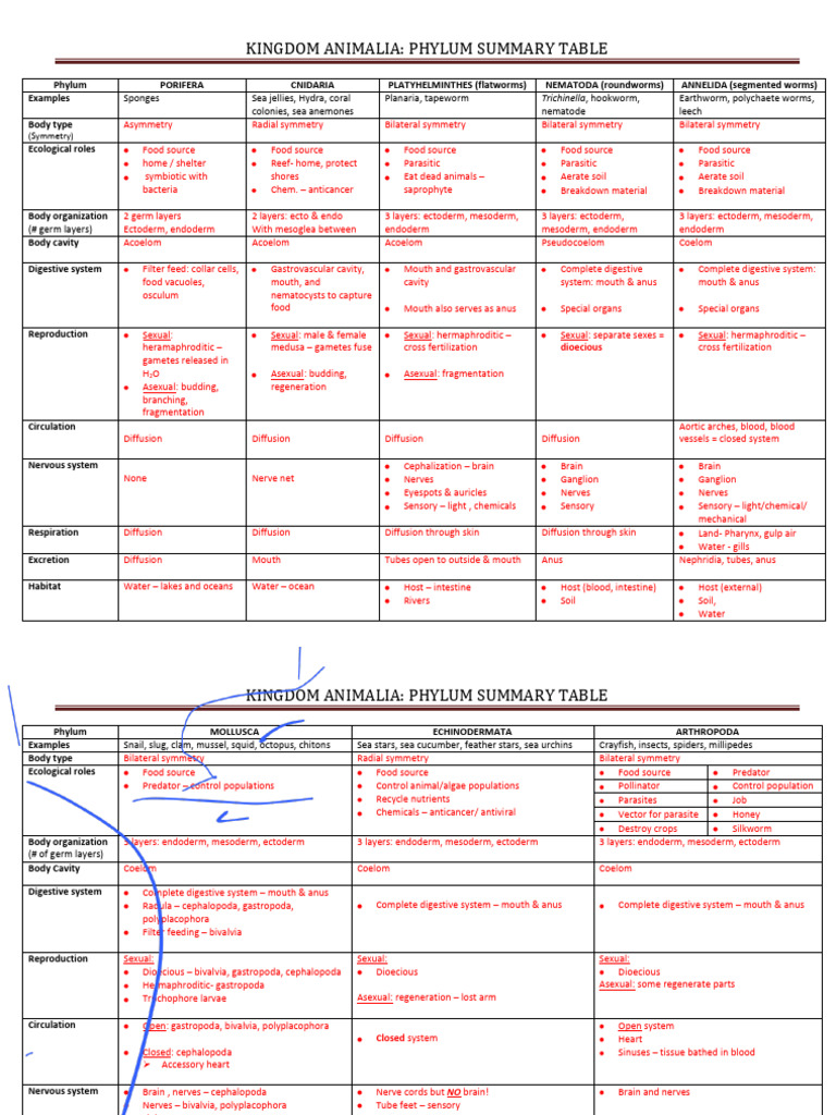 Kingdom Animalia Phylum Summary Table ANSWERS | PDF | Gill | Zoology