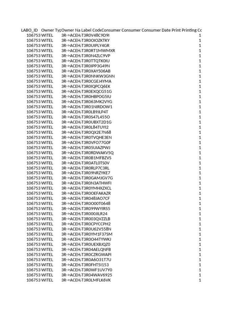 WITEL ACEH Consumer Print Data | PDF