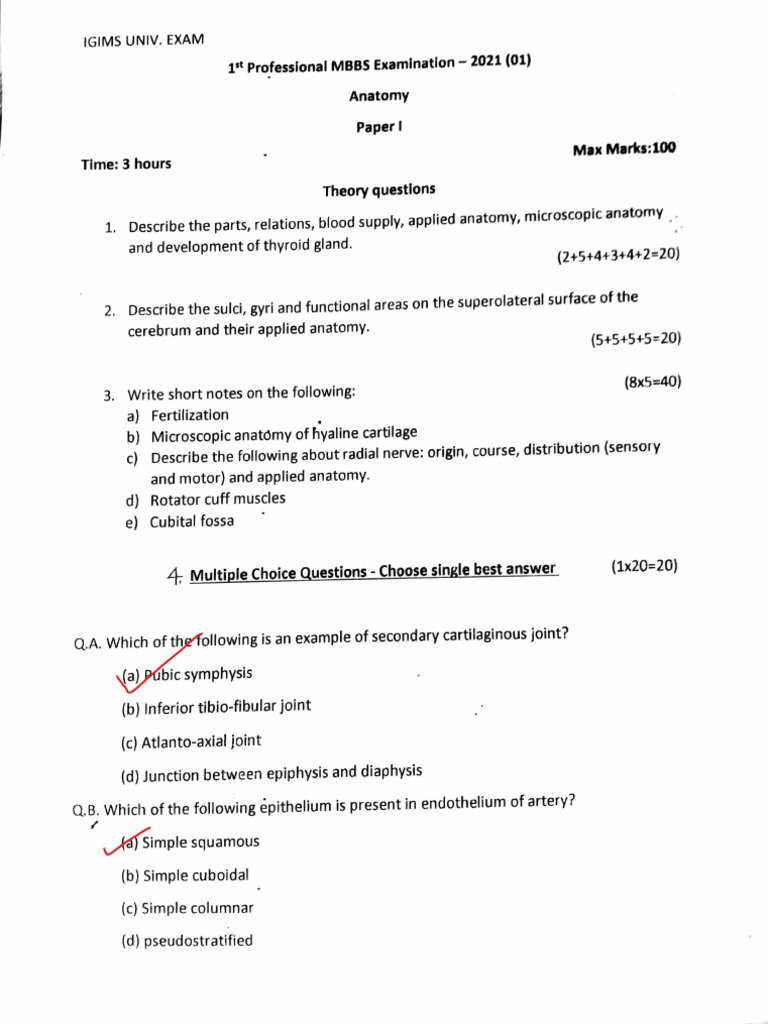 MBBS 1st Professional Anatomy Exam 2021 | PDF | Epithelium | Anatomical ...