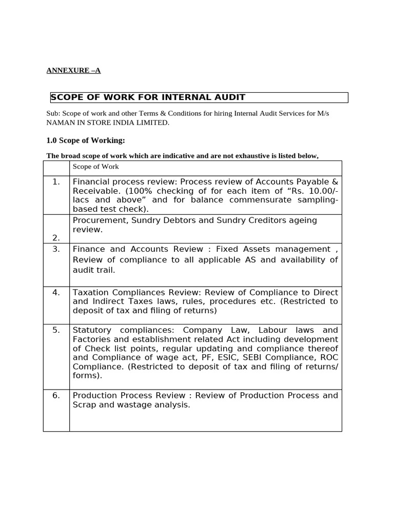 Internal Audit Scope | PDF