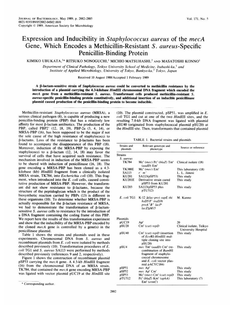 Ubukata Et Al Expression and Inducibility in Staphylococcus Aureus of ...