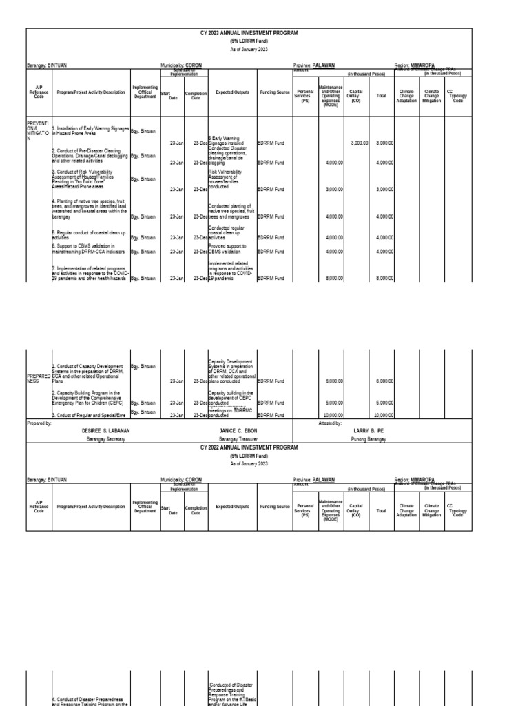 BINTUAN 2023 AIP Form LDRRMF | PDF | Natural Environment | Emergency ...
