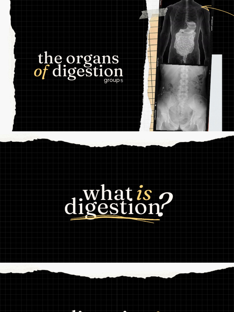 ORGANS OF DIGESTION │ SCIENCE | PDF | Digestion | Human Digestive System