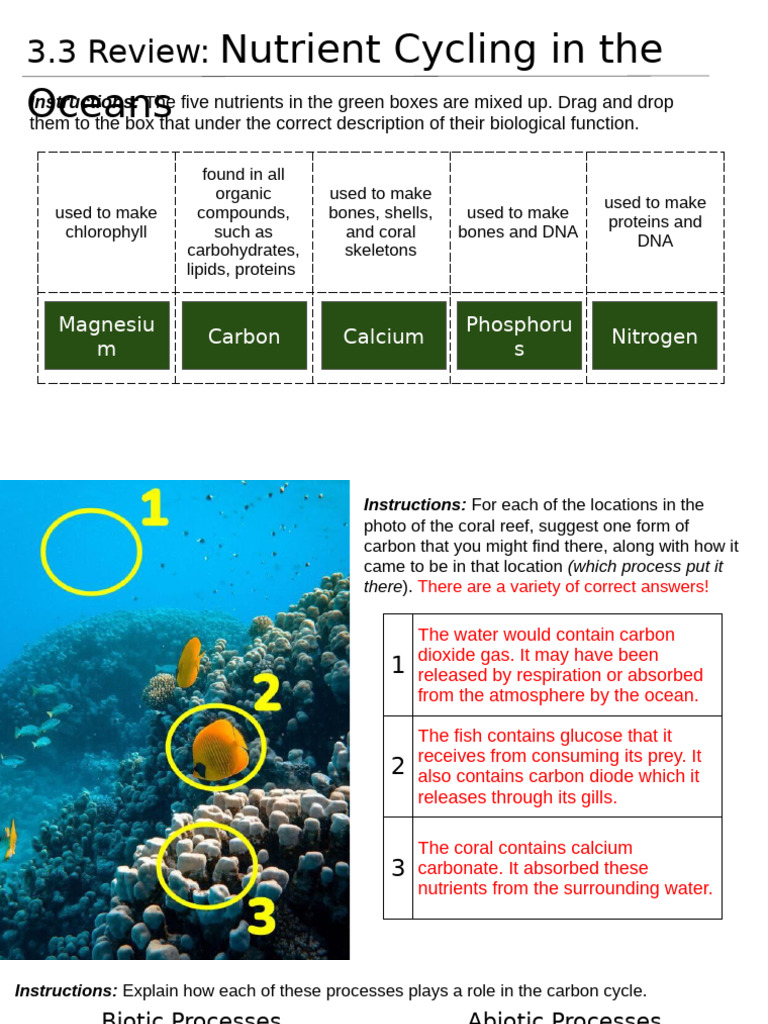 Marine Science 3.3 Nutrient Cycling in Oceans | PDF | Carbon Dioxide ...