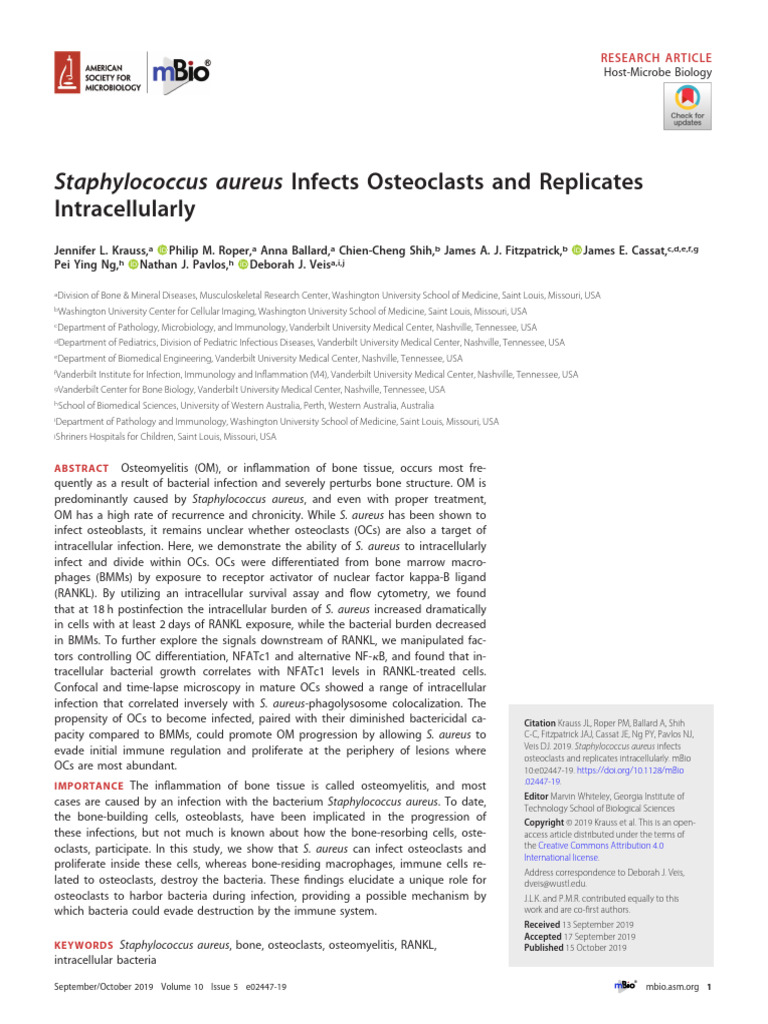 Krauss Et Al Staphylococcus Aureus Infects Osteoclasts and Replicates ...