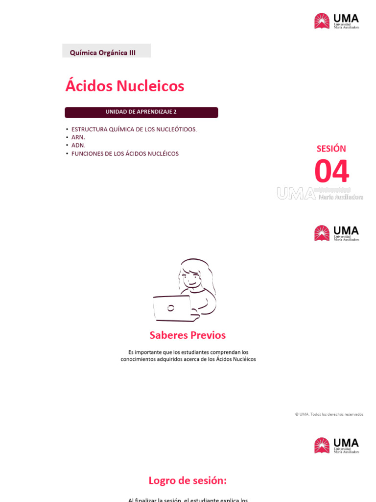 Sesión 04 - Ácidos Nucléicos | PDF | Rna | Adn
