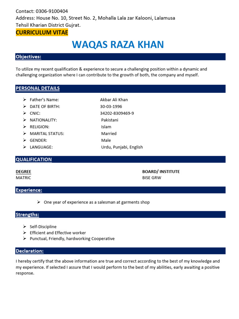 Waqas CV | PDF