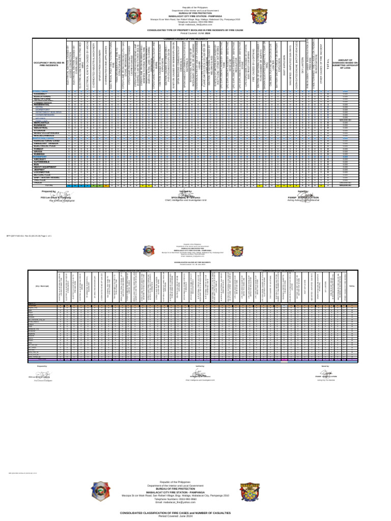 Monthly Fire Incident Monitoring MARCH 2025 | PDF | Fires | Combustion