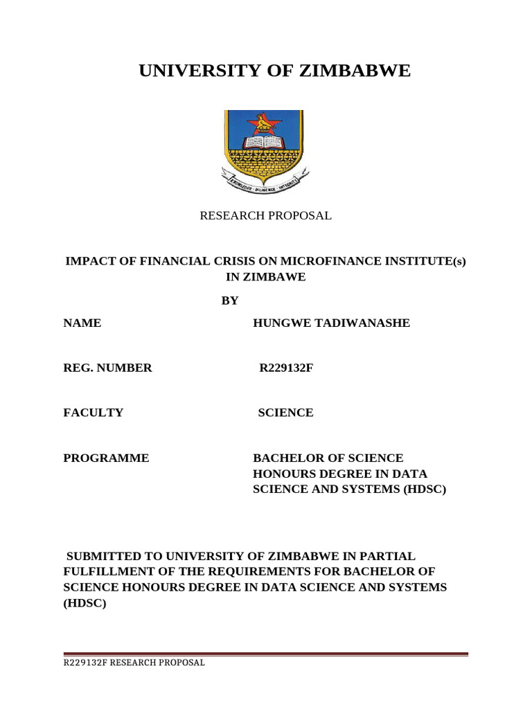 Hungwe Tadiwanashe Project Proposals | PDF | Microfinance | Financial Crises