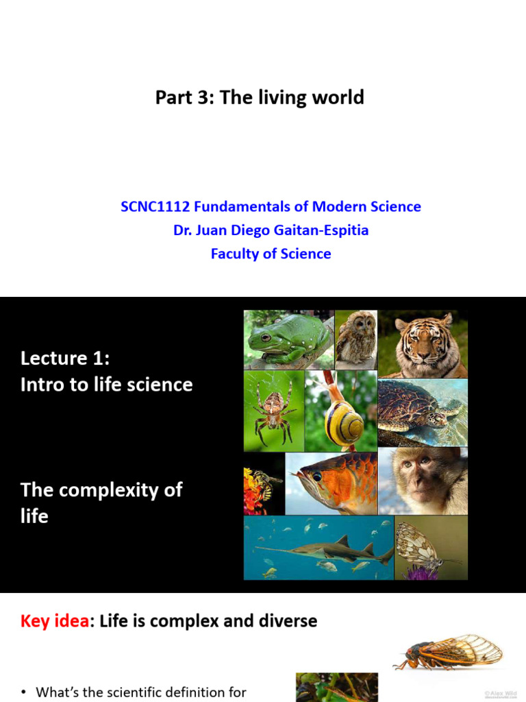 Lecture1b Introduction Life Science JDGE | PDF | Phylogenetic Tree ...