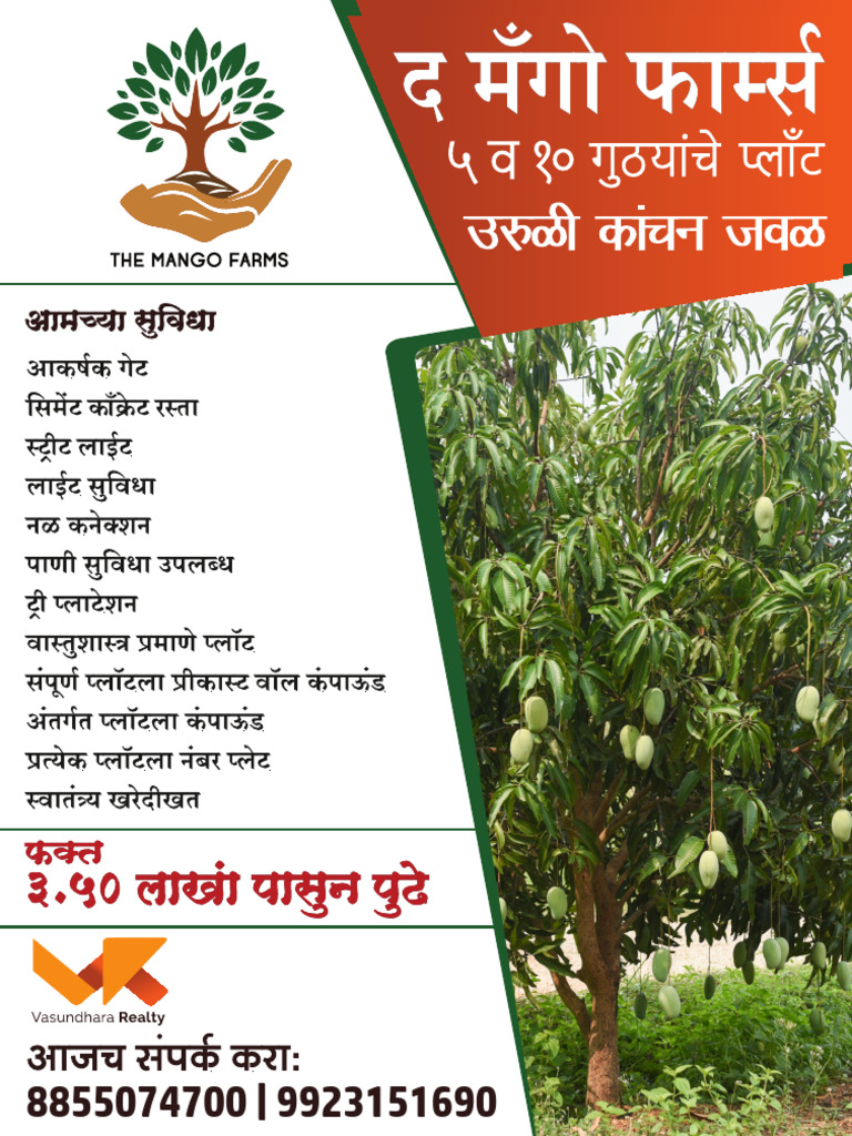 The Mango Farms | PDF