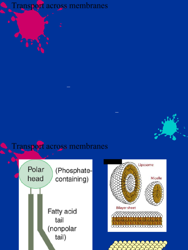 Chapter 4 Transport Across Membranes | PDF | Cell Membrane | Cell Signaling