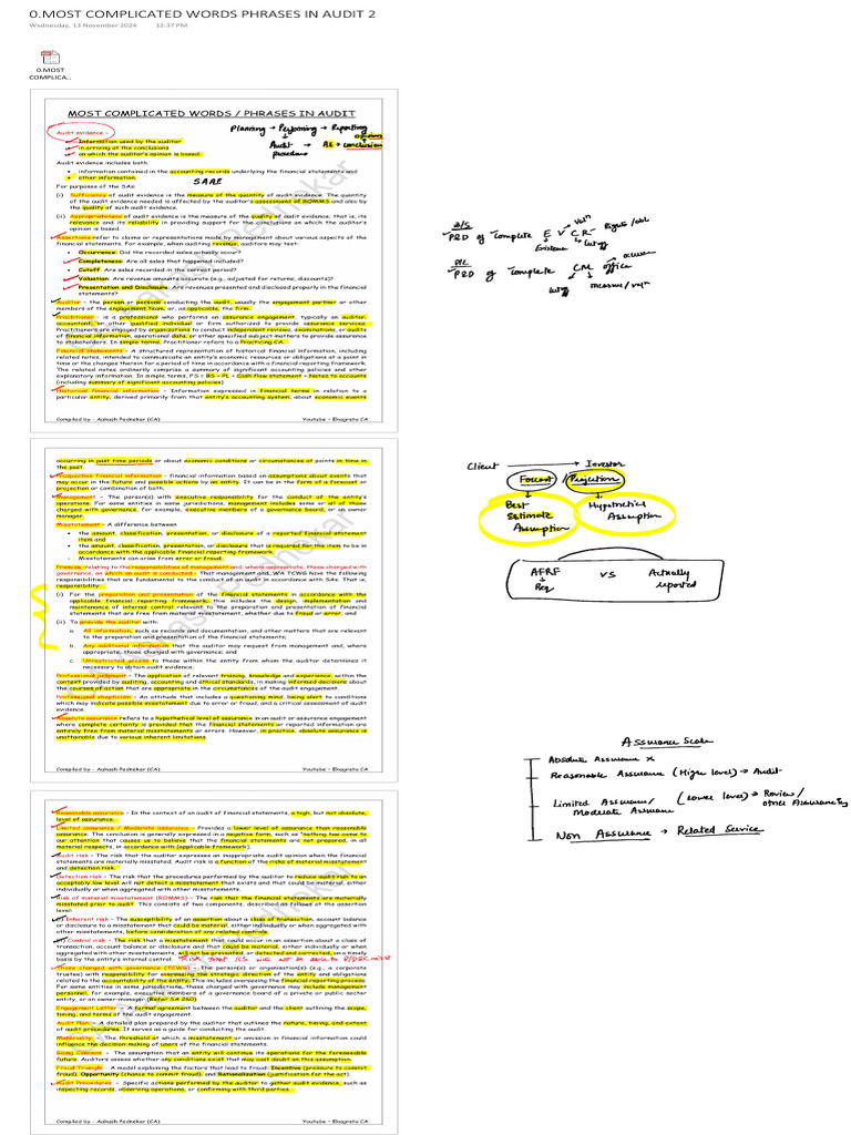 0.most Complicated Words Phrases in Audit 2 | PDF