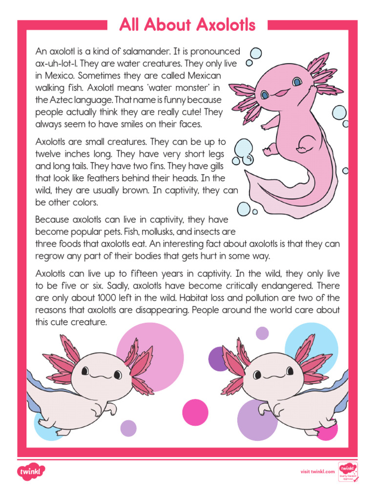 Second Grade All About Axolotls Reading Comprehension Activity | PDF