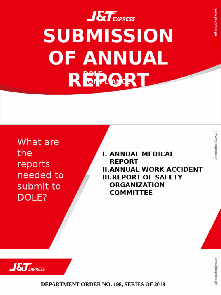 Dole-Annual Report Instruction | PDF