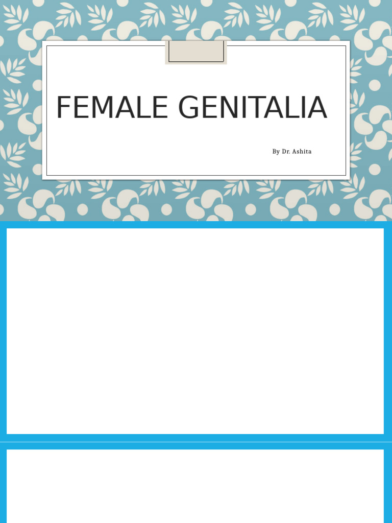 Female Genitalia | PDF