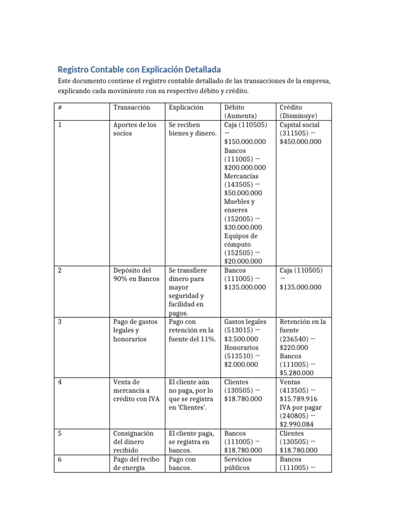 Registro Contable Detallado y Explicado | PDF | Bancos | Dinero