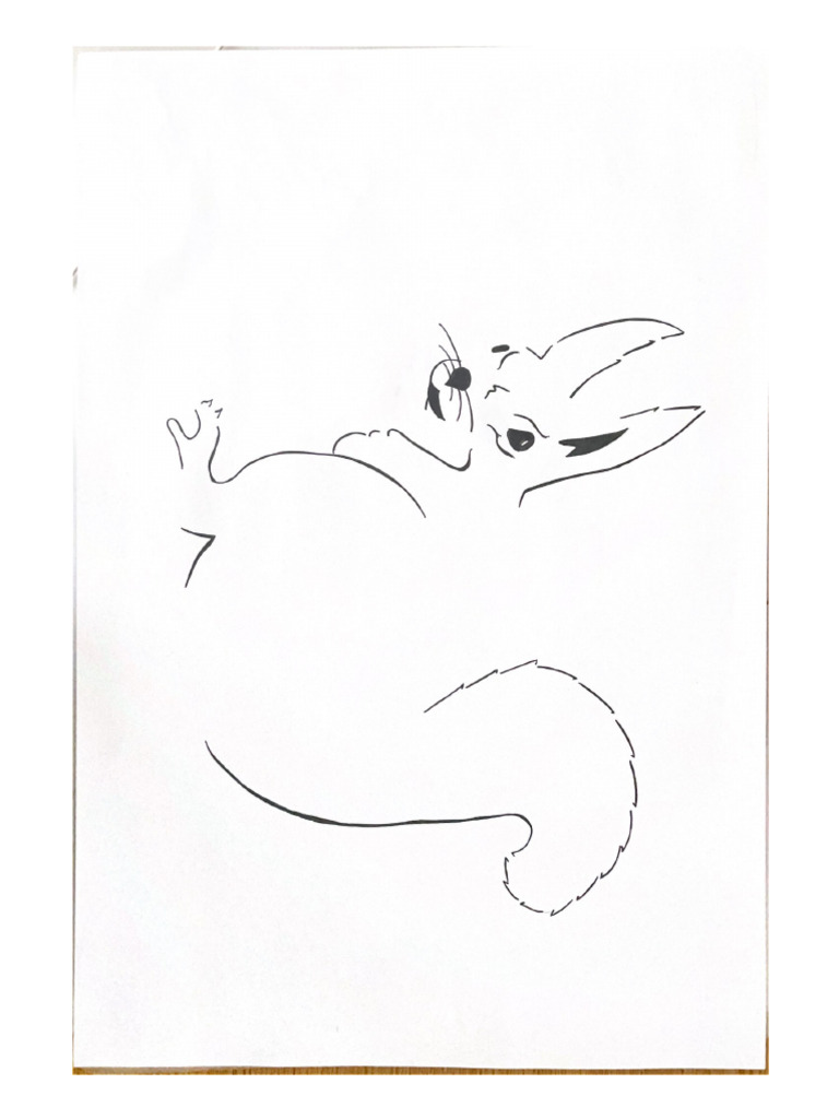 Ardilla | PDF