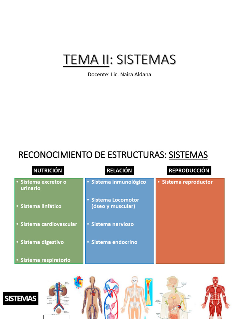 Sistemas de Nutricion - Sistema DIGESTIVO-EXCRETOR-LINFATICO | PDF ...